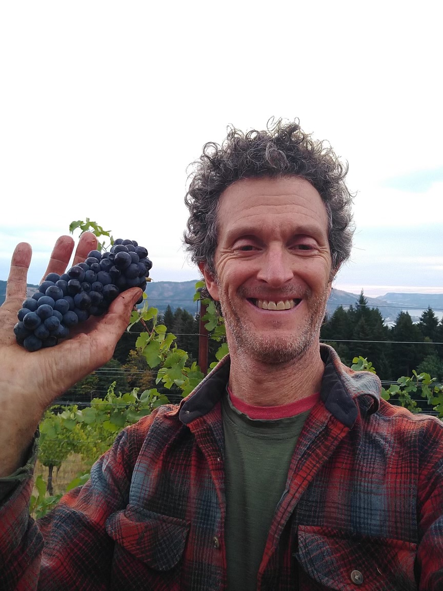 Our Vineyard Loop De Loop